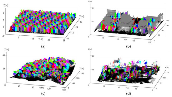 Forests | Free Full-Text | Individual Tree Crown Segmentation Directly ...
