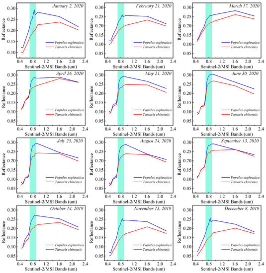 Forests | Free Full-Text | Using Sentinel-2 Images to Map the Populus euphratica Distribution ...