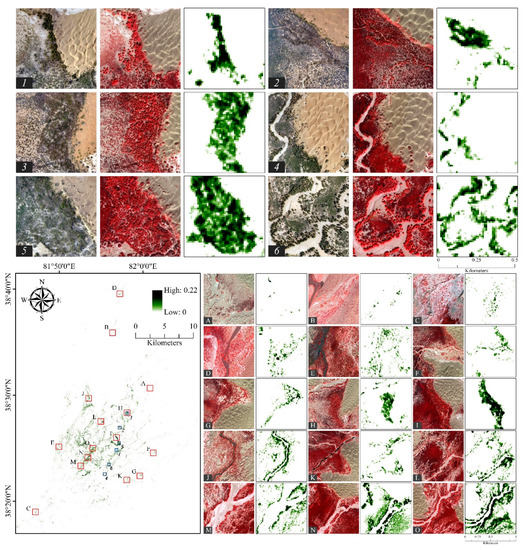 Forests | Free Full-Text | Using Sentinel-2 Images to Map the Populus euphratica Distribution ...