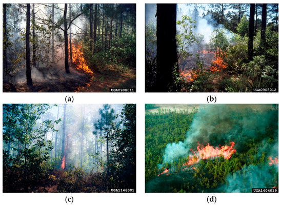 A Forest Fire Detection System Based on Ensemble Learning
