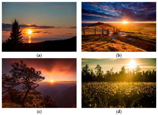 A Forest Fire Detection System Based on Ensemble Learning