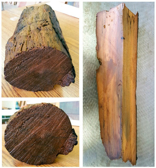 Interactions between Different Organosilicons and Archaeological ...