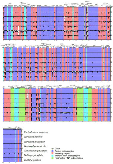 Comparative Analysis and Phylogenetic Implications of Plastomes of Five ...