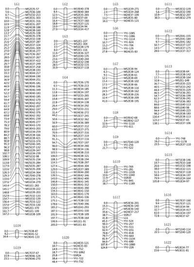 A Genetic Linkage Map of BC2 Population Reveals QTL Associated with ...