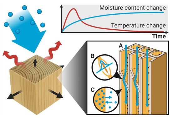Wood Modification as a Tool to Understand Moisture in Wood