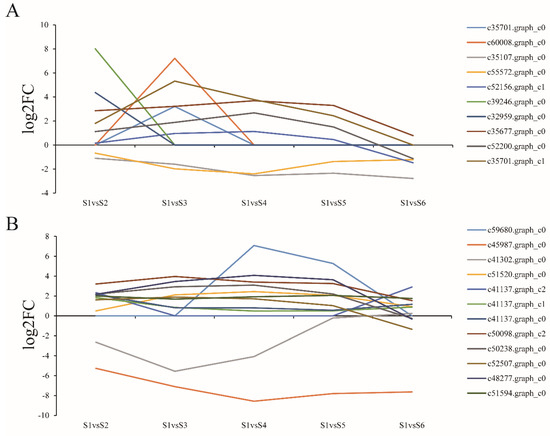 Transcriptomic Analysis of Seasonal Gene Expression and Regulation ...