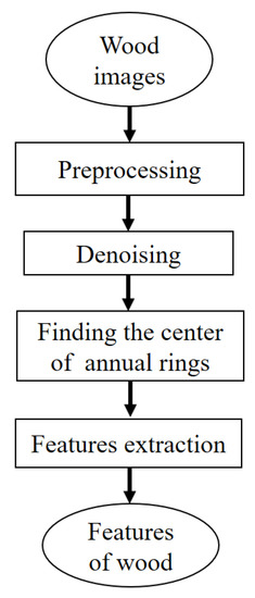 Improved Hough Transform and Total Variation Algorithms for Features Extraction of Wood