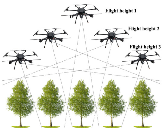 LiDAR Applications to Estimate Forest Biomass at Individual Tree Scale ...