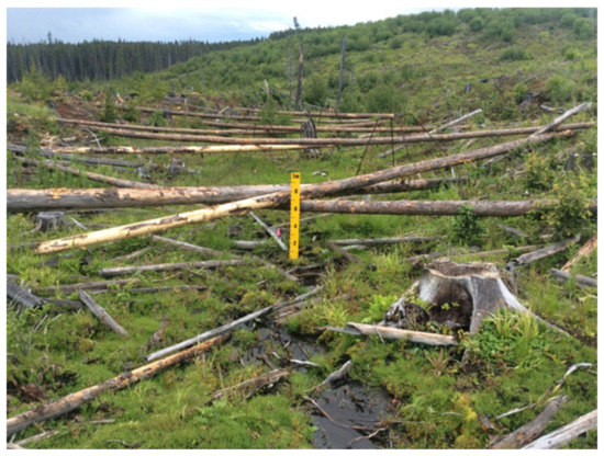 Fate of Postharvest Woody Debris, Mammal Habitat, and Alternative ...