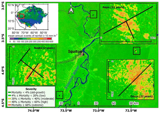 Recovery of Forest Structure Following Large-Scale Windthrows in the ...