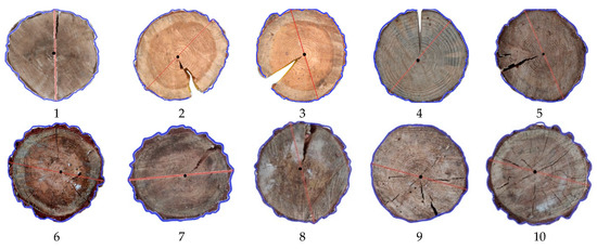 Research on Tree Pith Location in Radial Direction Based on Terrestrial ...