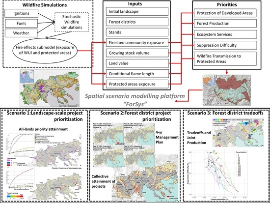 Forests | Free Full-Text | Spatial Optimization and Tradeoffs of ...
