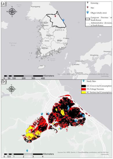Post-Fire Impacts of Vegetation Burning on Soil Properties and Water ...