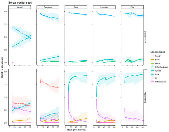 Forests | Special Issue : Simulation Models of the Dynamics of Forest ...