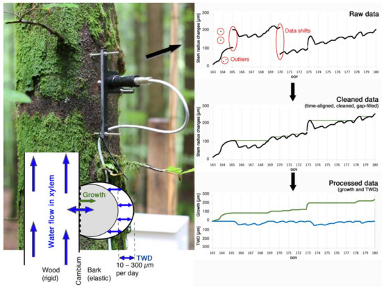 Processing and Extraction of Seasonal Tree Physiological Parameters ...