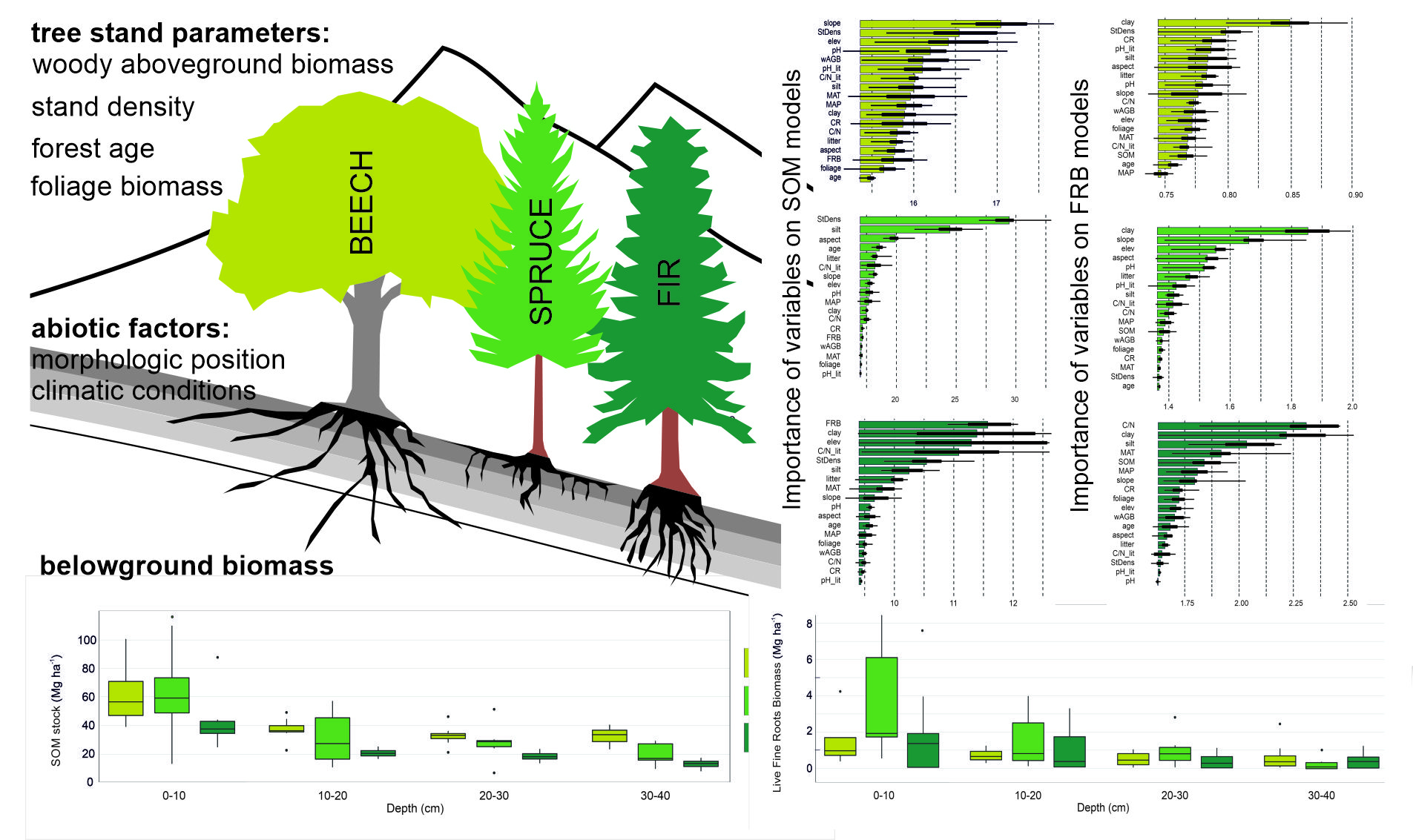 Forests | Free Full-Text | Biotic and Abiotic Determinants of Soil ...