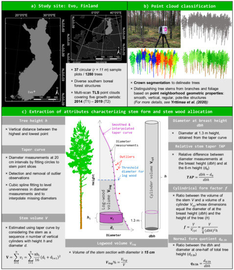 Revealing Changes in the Stem Form and Volume Allocation in Diverse ...