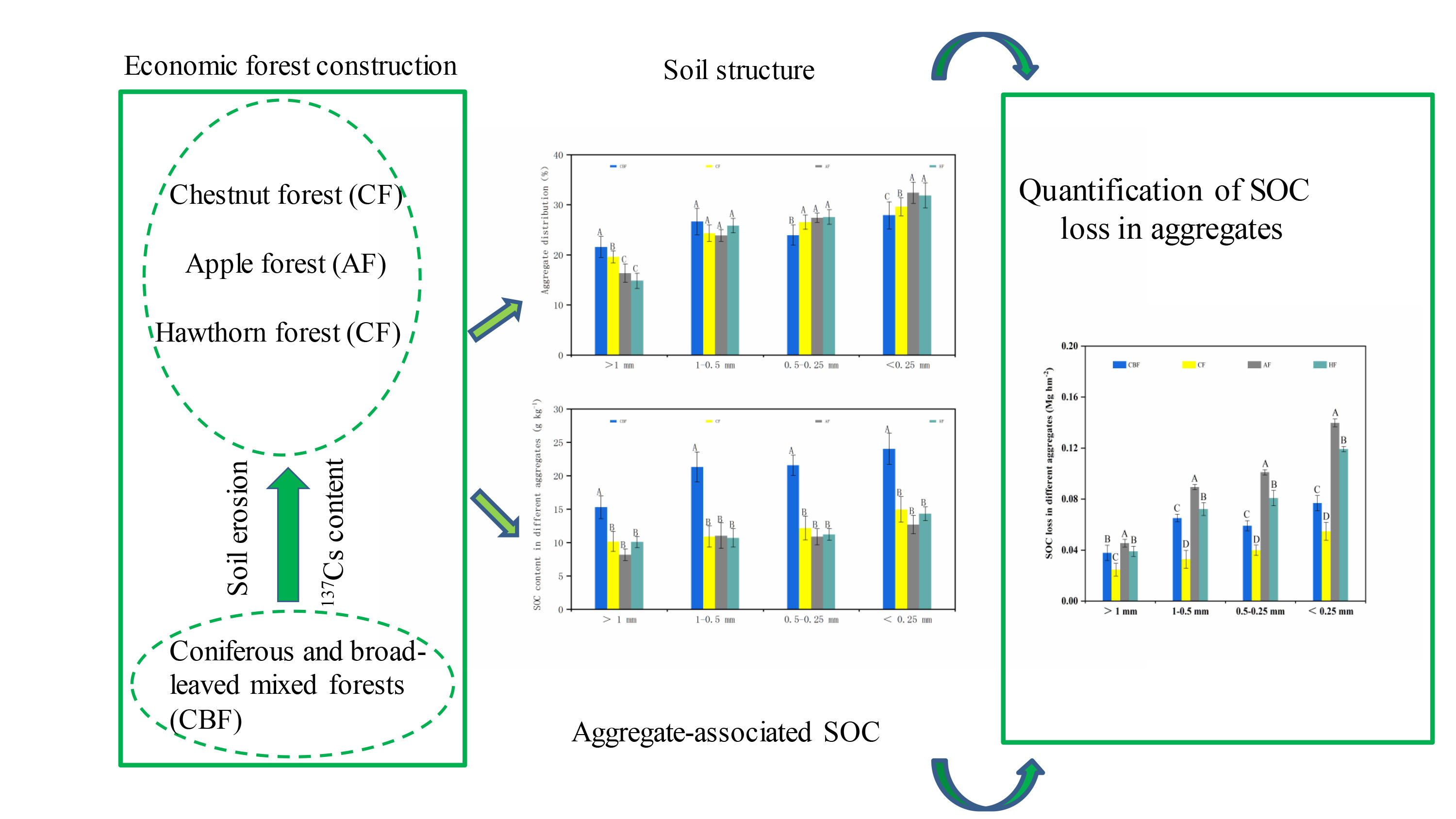 Forests | Free Full-Text | Effect of Forest Management Operations on Aggregate-Associated SOC ...