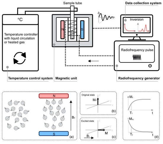 Characterization of Water in Wood by Time-Domain Nuclear Magnetic ...