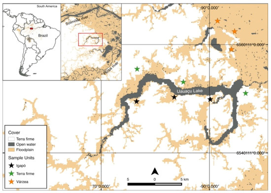 Forests | Special Issue : Structure, Function, and Dynamics of Tropical ...
