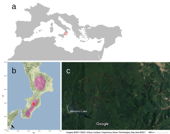 Forests | Special Issue : Forest Pathology and Entomology