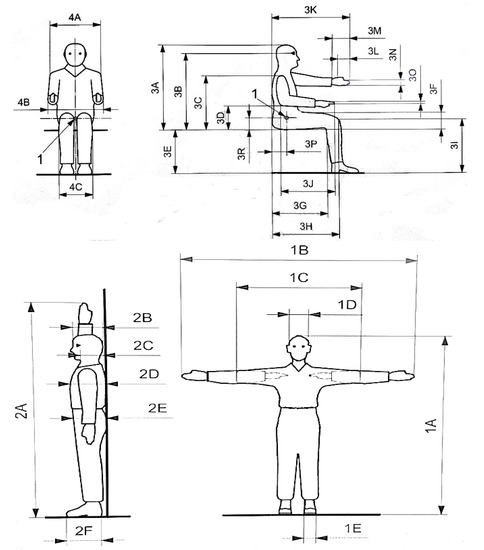 Anthropometric Analysis of Selected Body Dimensions and Comparison with ...