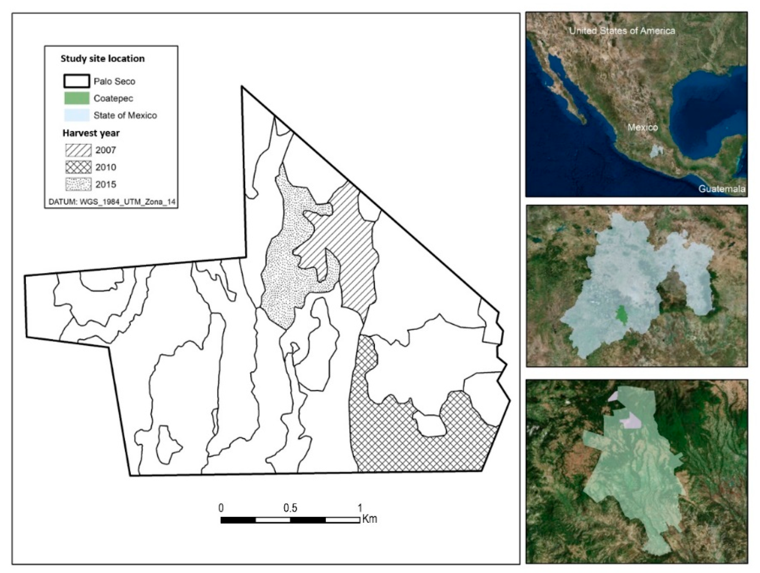Coniferous Forest Map