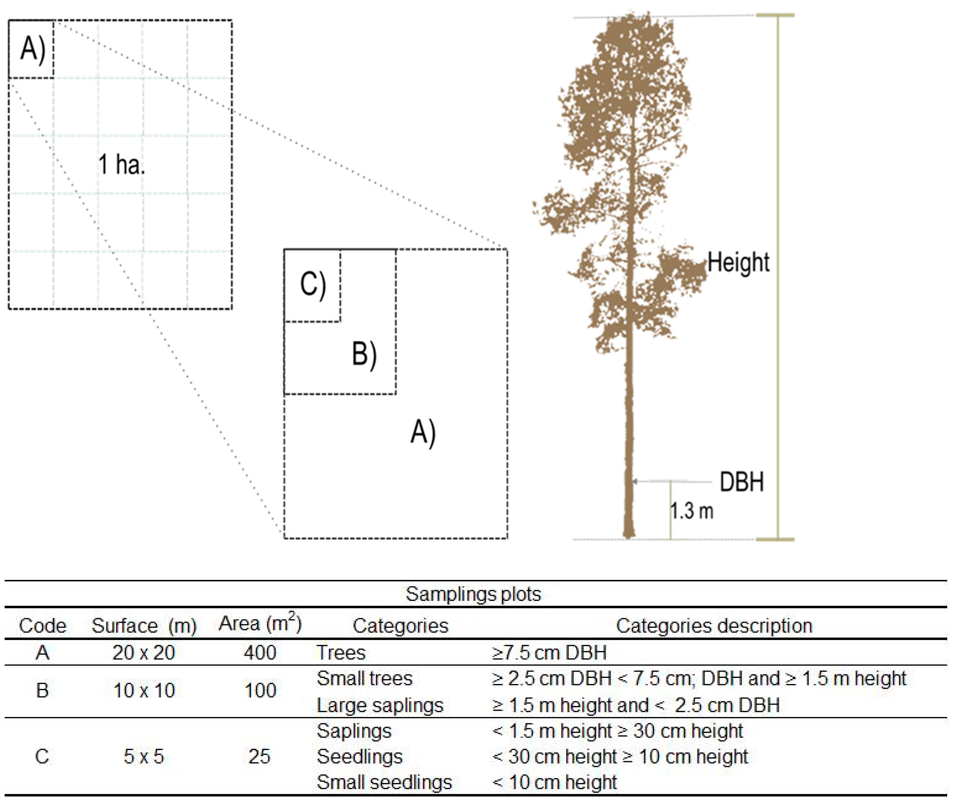 Forest Harvesting Impacts on the Structure and Composition of ...