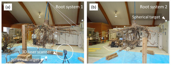Reconstruction of Conifer Root Systems Mapped with Point Cloud Data ...