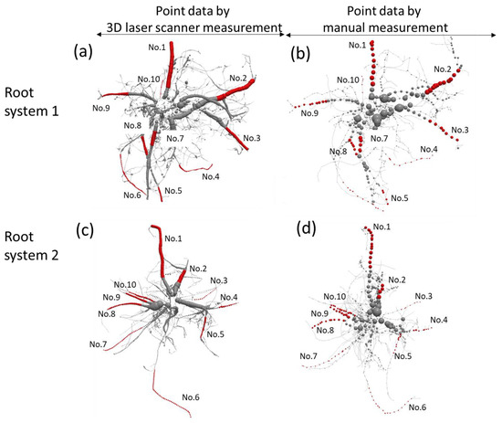 Reconstruction of Conifer Root Systems Mapped with Point Cloud Data ...