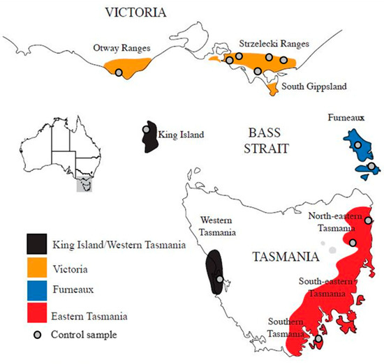 Origins, Diversity and Naturalization of Eucalyptus globulus (Myrtaceae ...