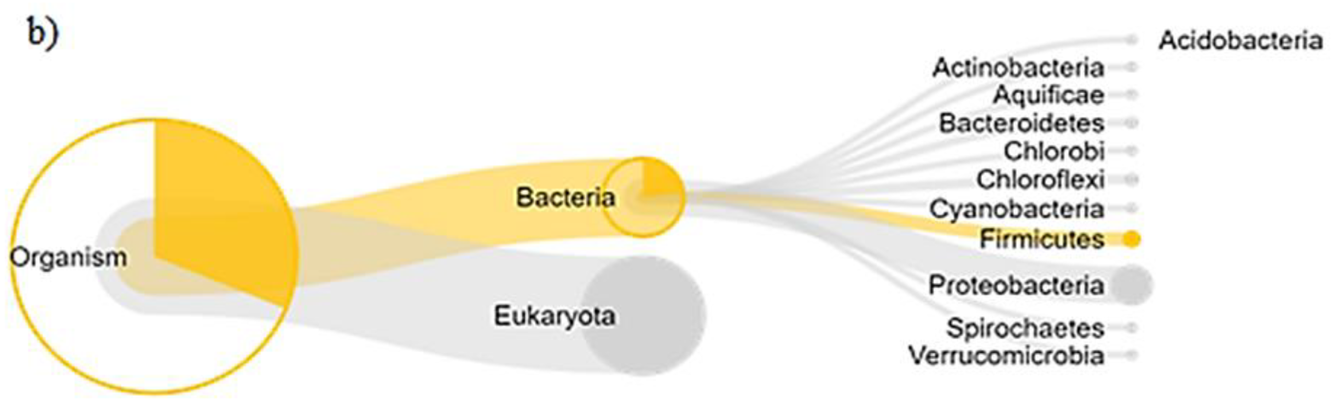 Soil Metaproteomics as a Tool for Environmental Monitoring of Minelands