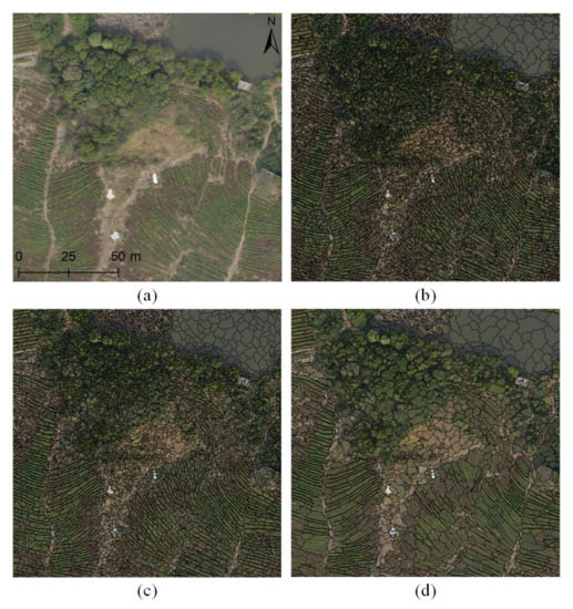 Exploring the Potential of Unmanned Aerial Vehicle (UAV) Remote Sensing ...