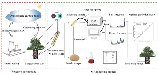 Forests | Free Full-Text | Prediction of the Carbon Content of Six Tree ...