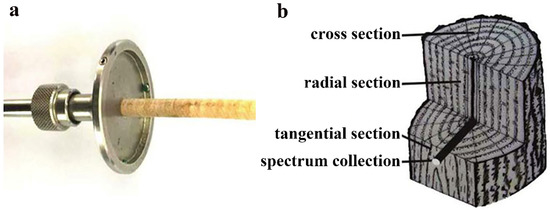 Prediction of the Carbon Content of Six Tree Species from Visible-Near ...