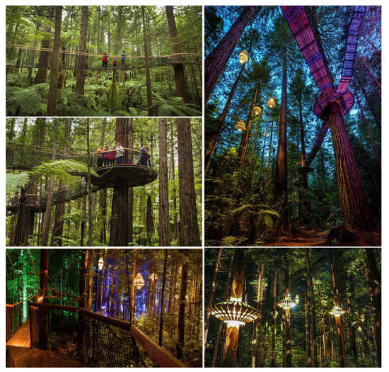 Merging Architectural Structures with Forest Walkways: A Comprehensive ...