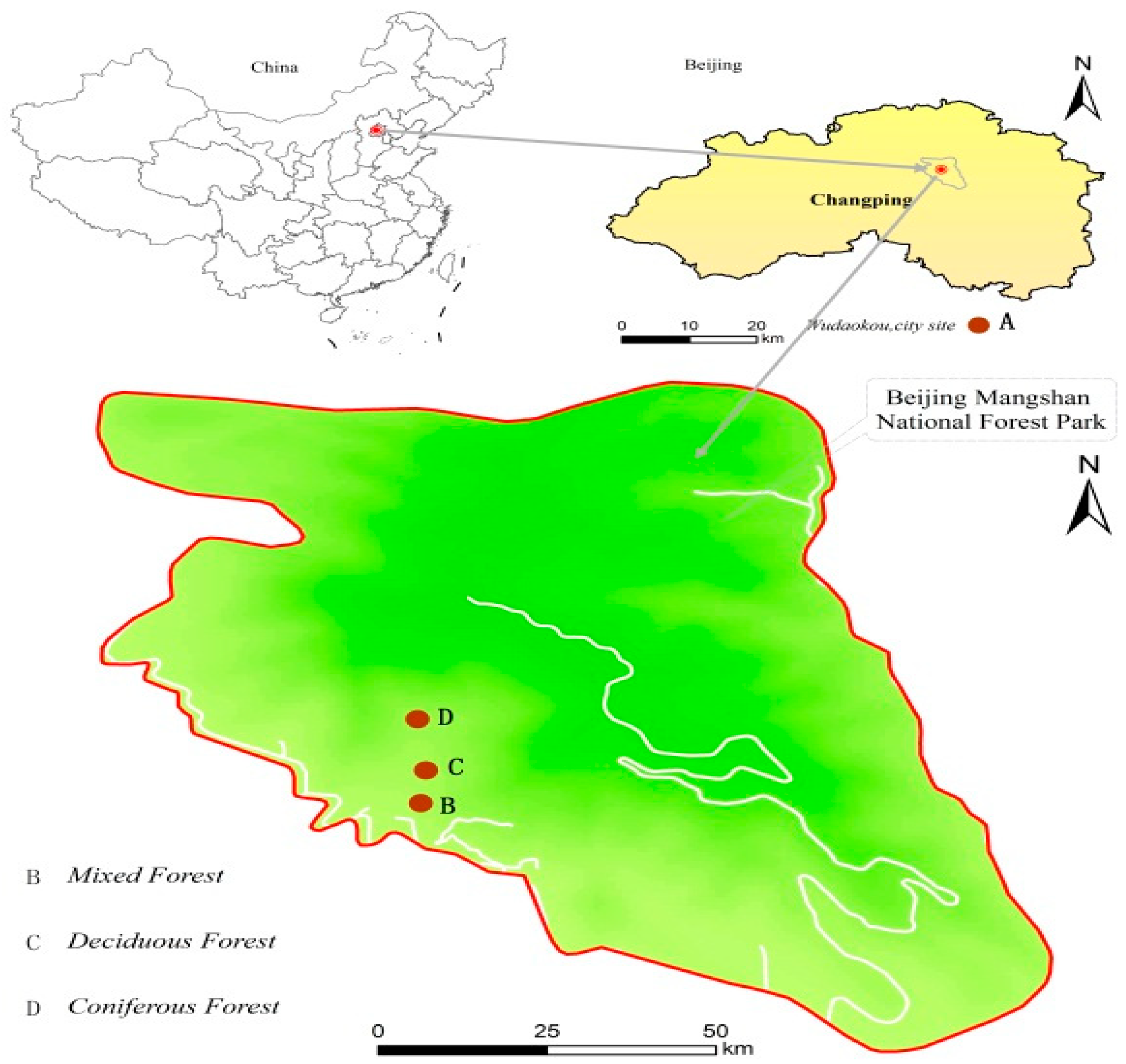 Forests | Free Full-Text | Physiological and Psychological Effects of ...