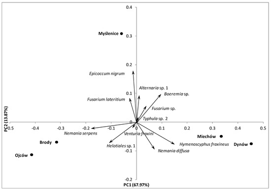 Forests | Free Full-Text | Fungi Detected in the Previous Year’s Leaf ...