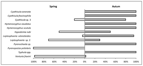Forests | Free Full-Text | Fungi Detected in the Previous Year’s Leaf ...