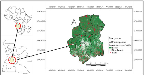 Deforestation and Biomass Production in Miombo Forest in Huambo (Angola ...
