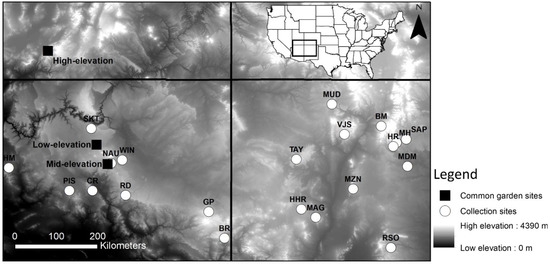 Forests | Free Full-Text | Provenance Variation in Early Survival ...