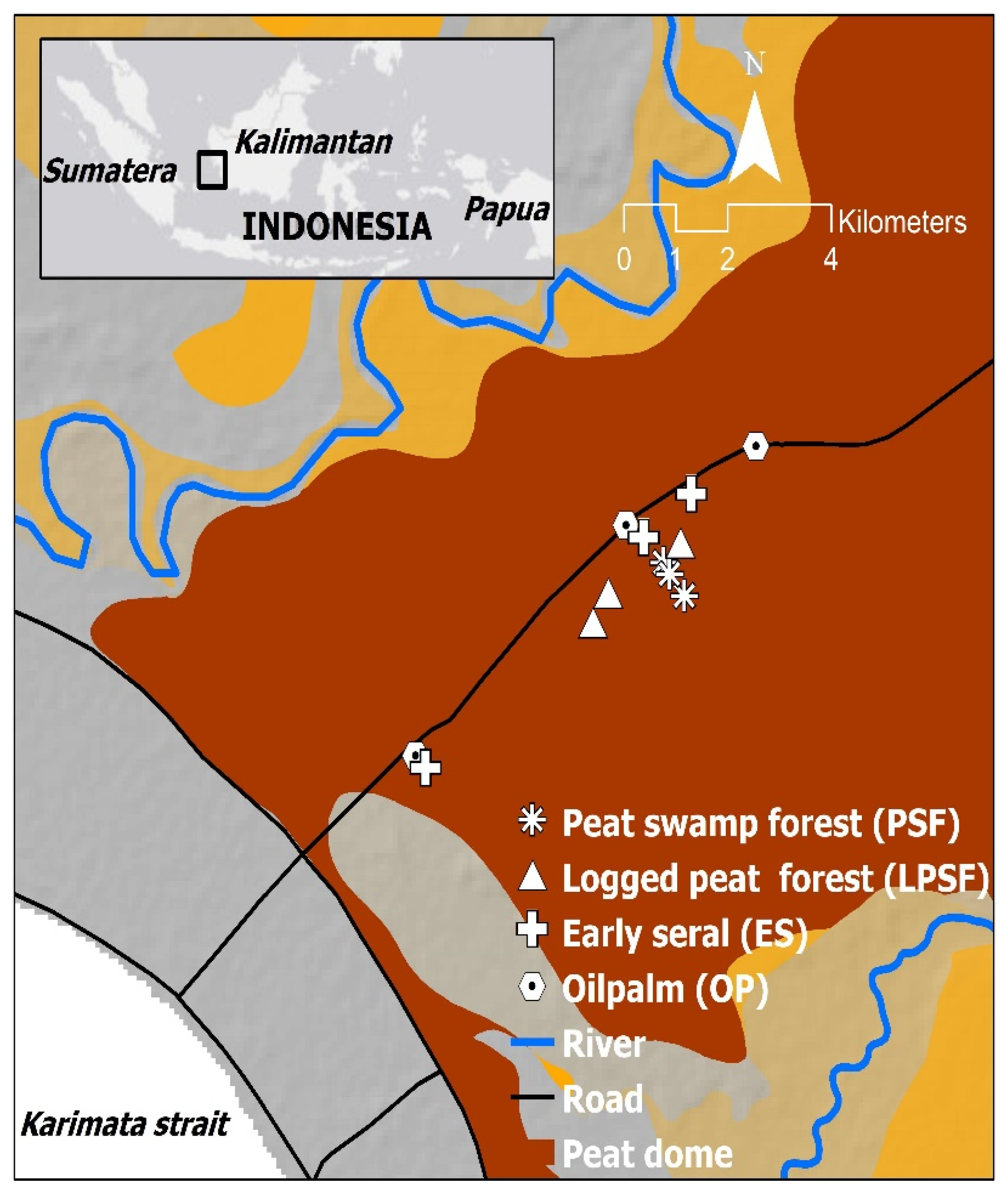 Land Cover and Land Use Change Decreases Net Ecosystem Production in ...