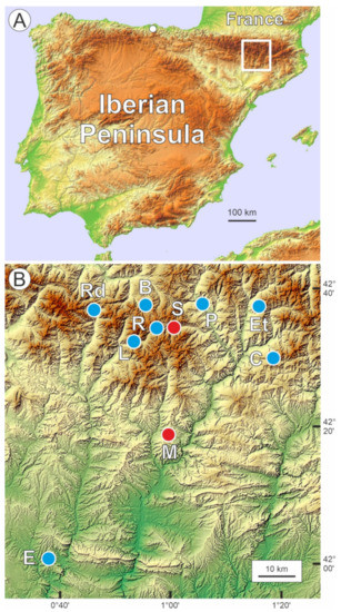 Conifer Forest Dynamics in the Iberian Pyrenees during the Middle Ages