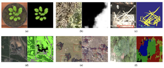 Aerial and Optical Images-Based Plant Species Segmentation Using ...