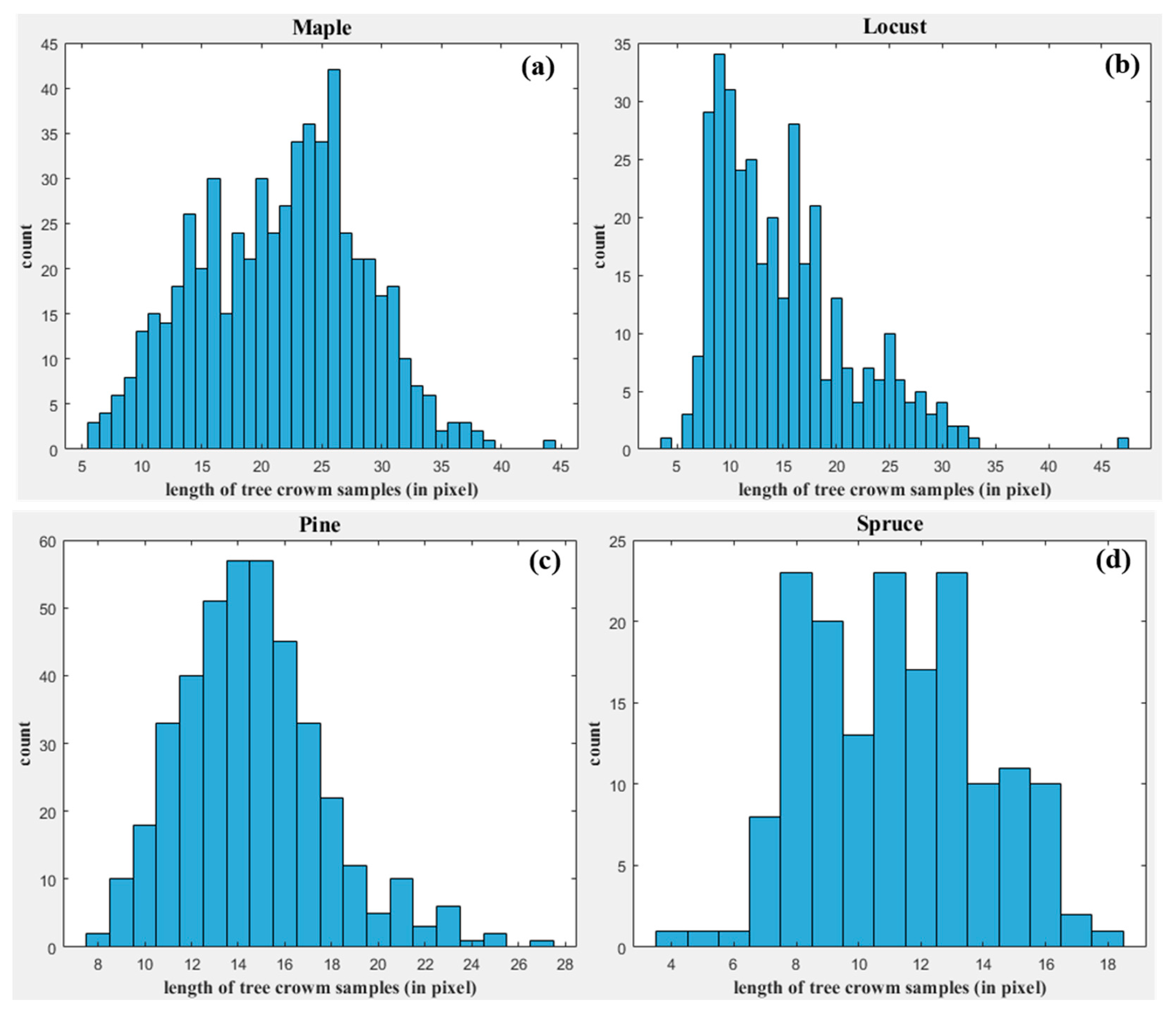 Forests | Free Full-Text | CNN-Based Individual Tree Species ...