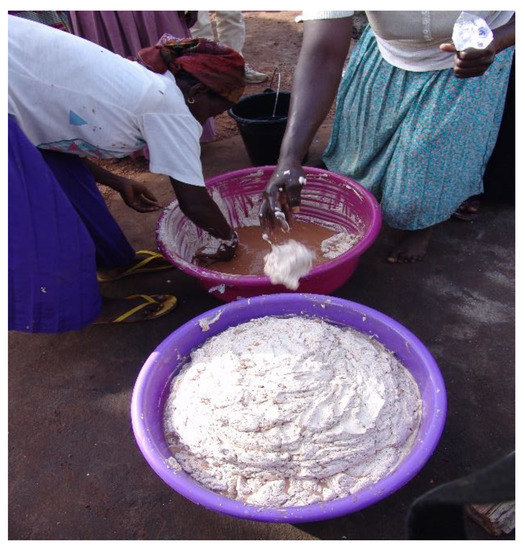 The Current State of Knowledge of Shea Butter Tree (Vitellaria paradoxa ...