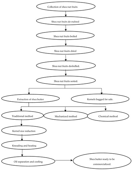 The Current State of Knowledge of Shea Butter Tree (Vitellaria paradoxa ...