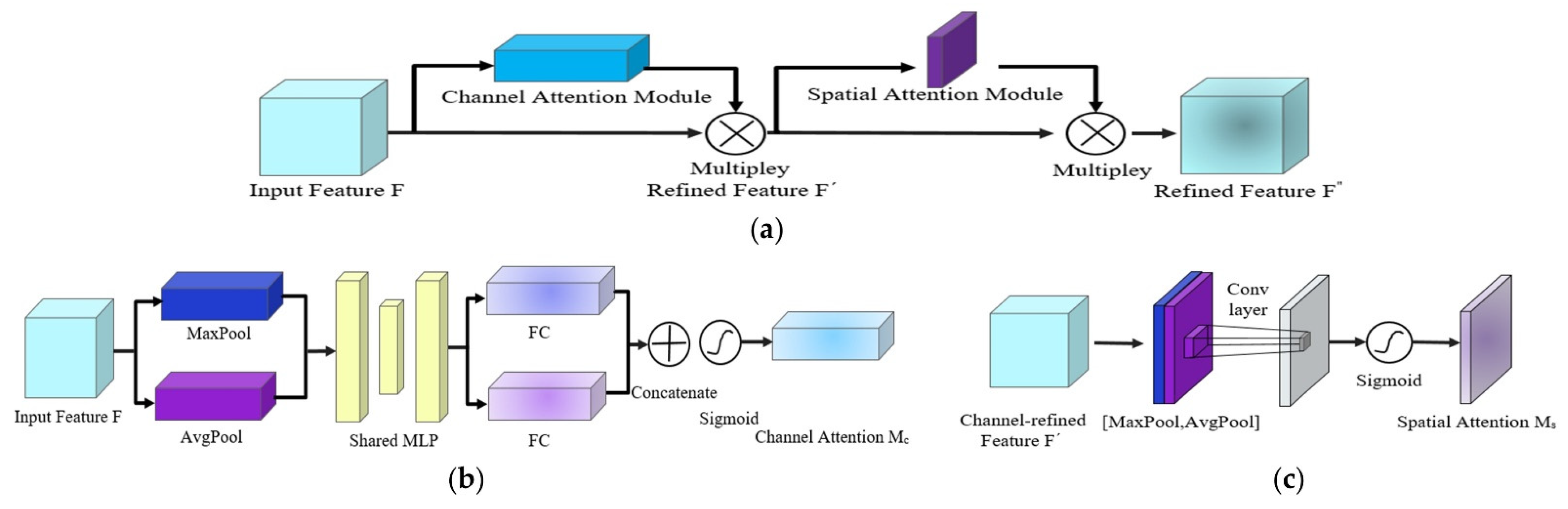 Identification of Oil Tea (Camellia oleifera C.Abel) Cultivars Using ...