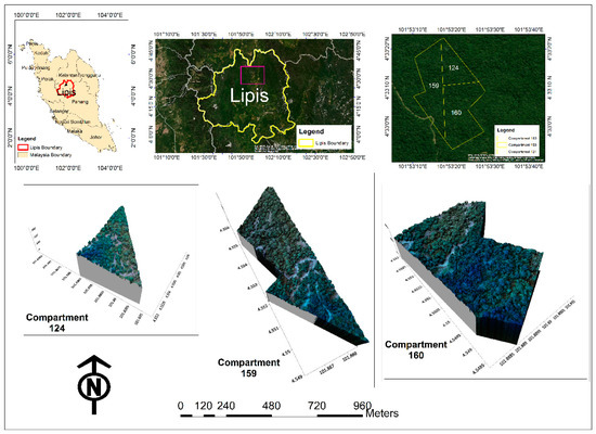 Forests | Free Full-Text | Integrated Segmentation Approach with ...