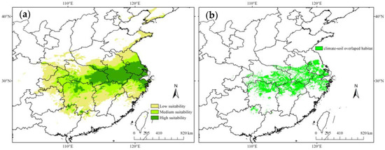 Forests | Special Issue : Simulation Models of the Dynamics of Forest ...